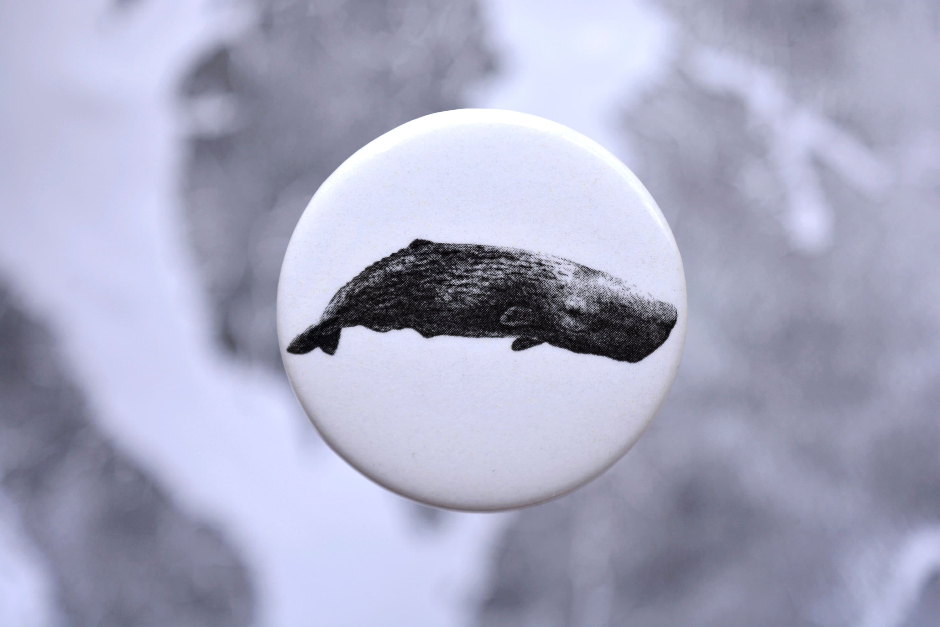 Orca, Humpback & Moby Whale Button Pins, Sperm Whale, Killer Whale, Fun ...
