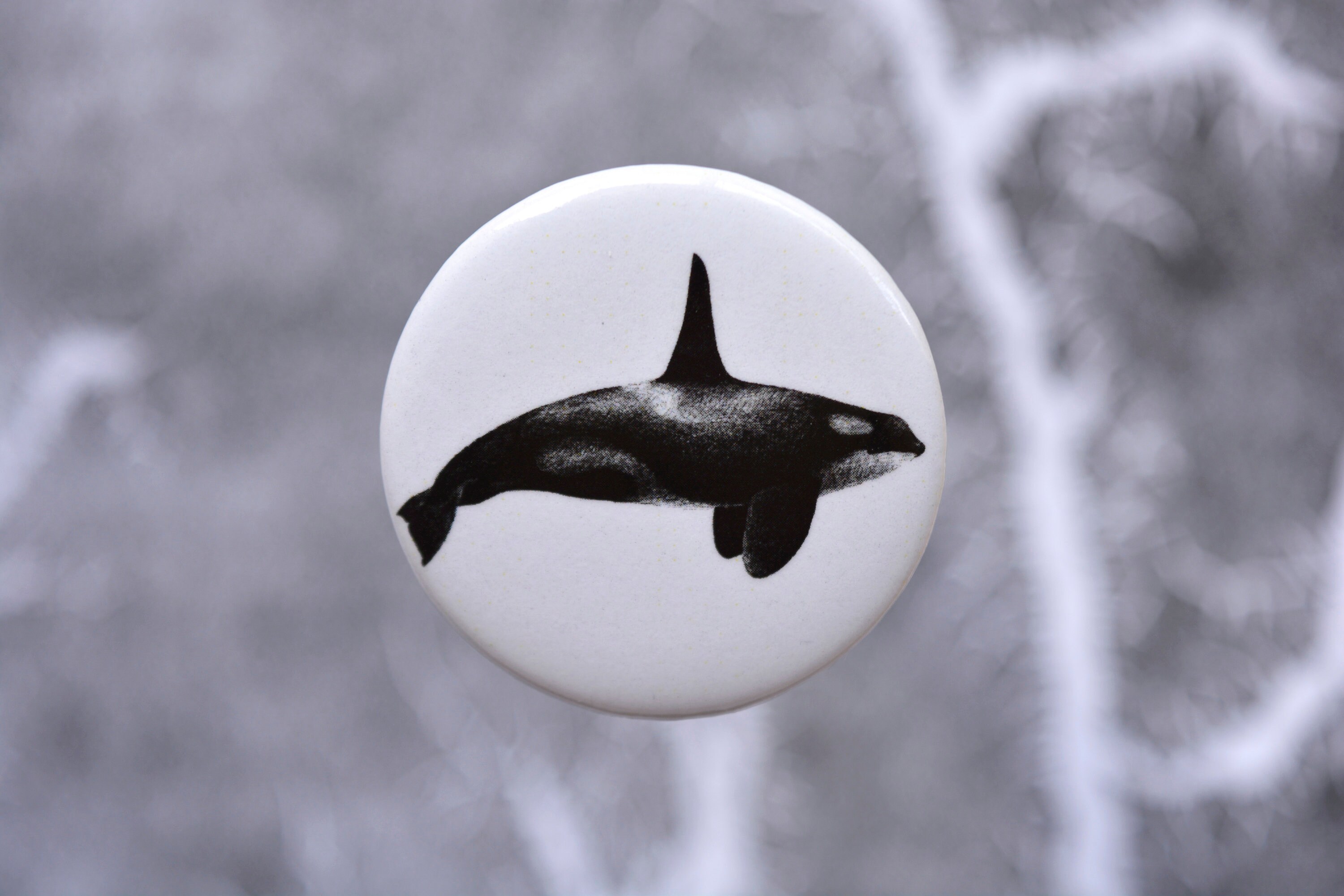 Orca, Humpback & Moby Whale Button Pins, Sperm Whale, Killer Whale, Fun ...