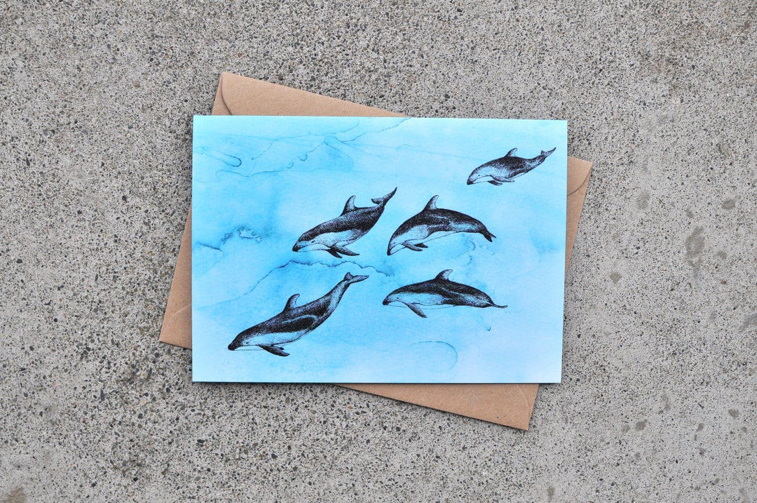 Pacific White-sided Dolphins From the Ocean Series, Whale, Greeting ...