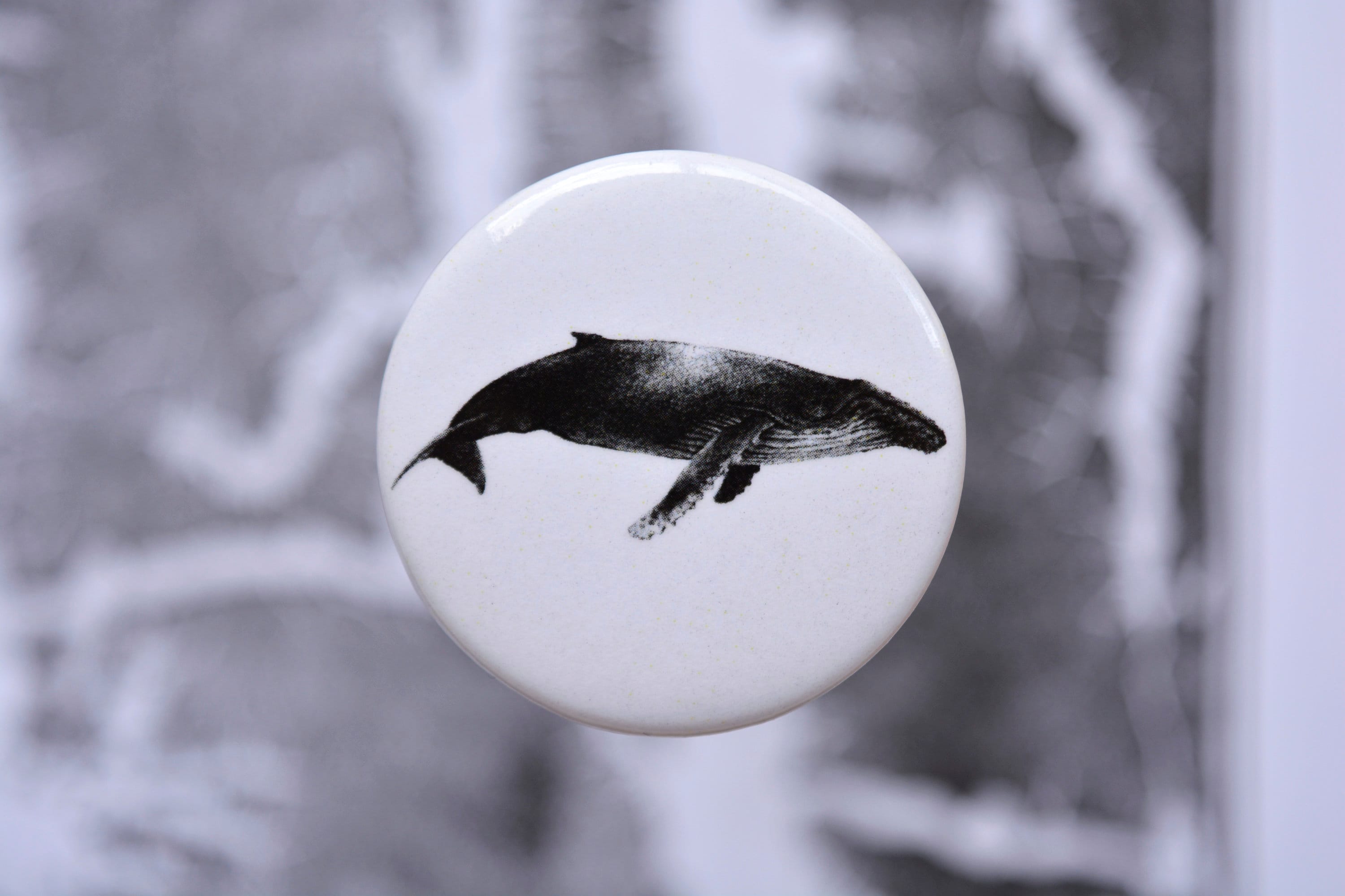 Orca, Humpback & Moby Whale Button Pins, Sperm Whale, Killer Whale, Fun ...