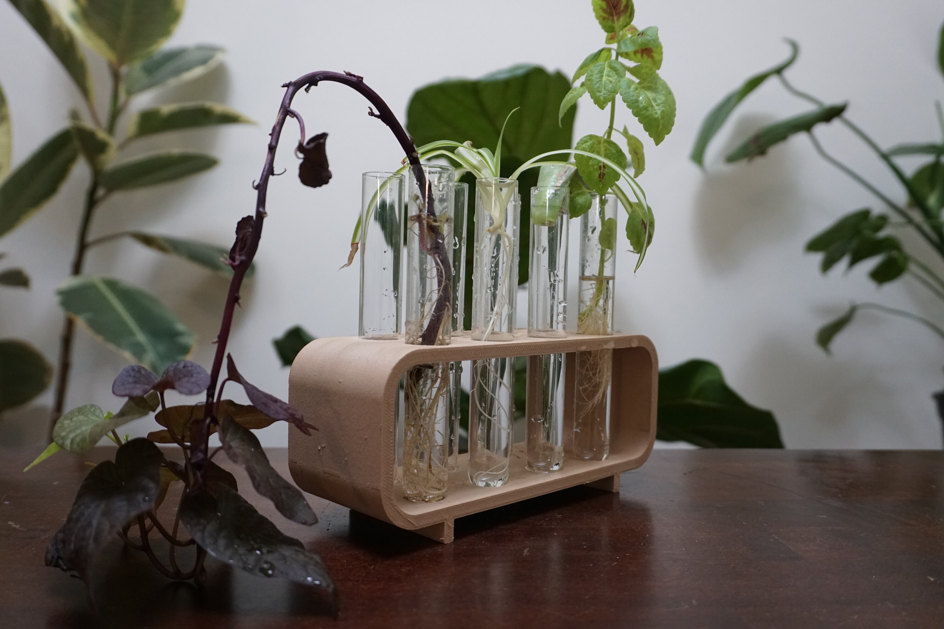 Test Tube Propagation Station - Etsy UK