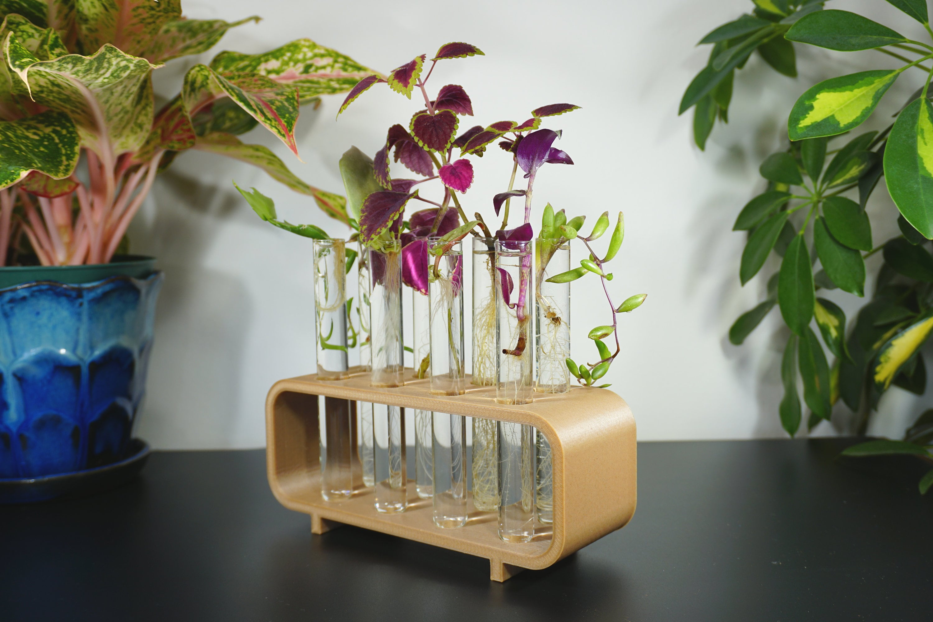 Test Tube Propagation Station - Etsy Canada