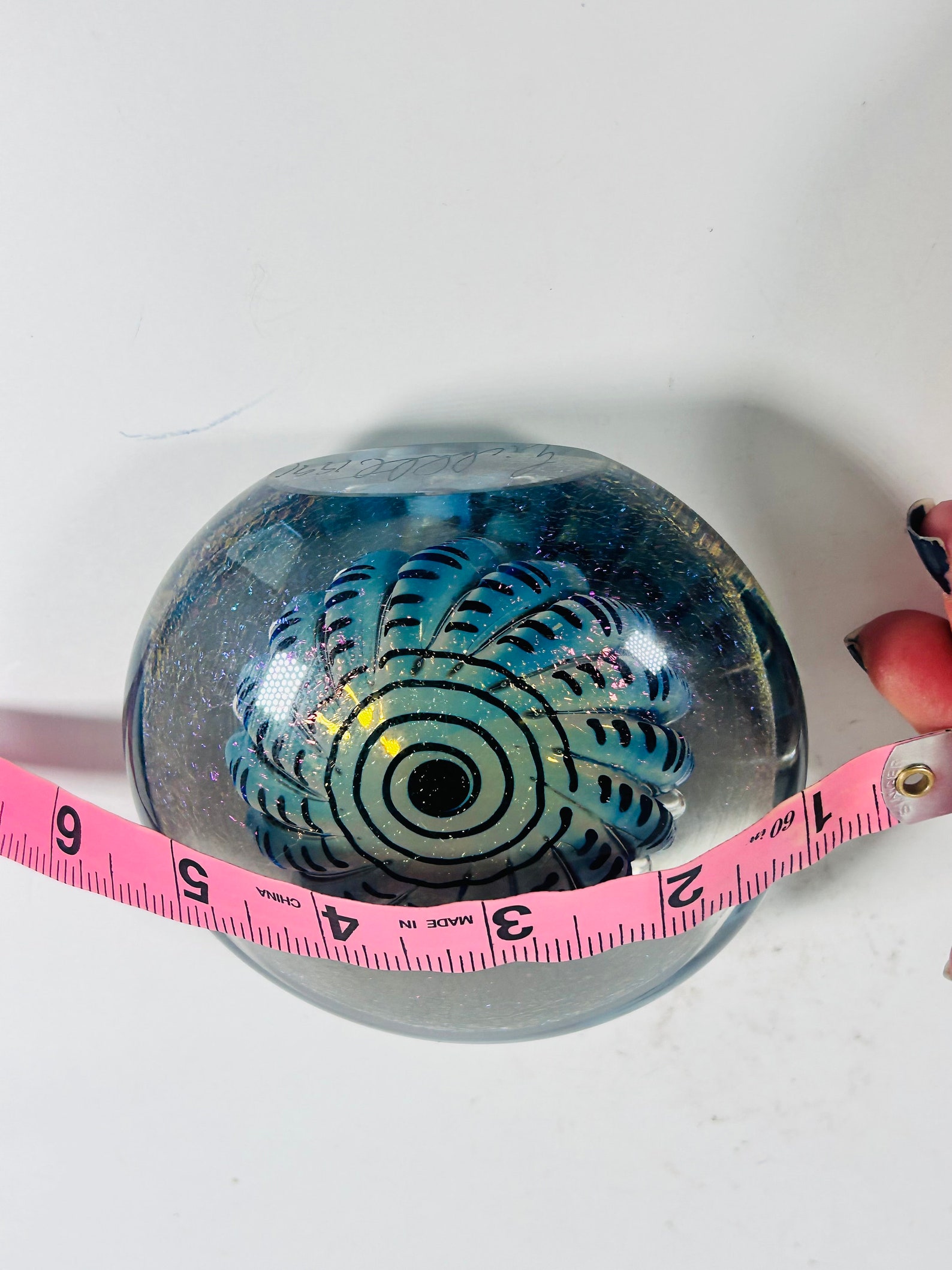 Blue Seashell Art Glass Paperweight Robert Eickholt 1991 - Etsy