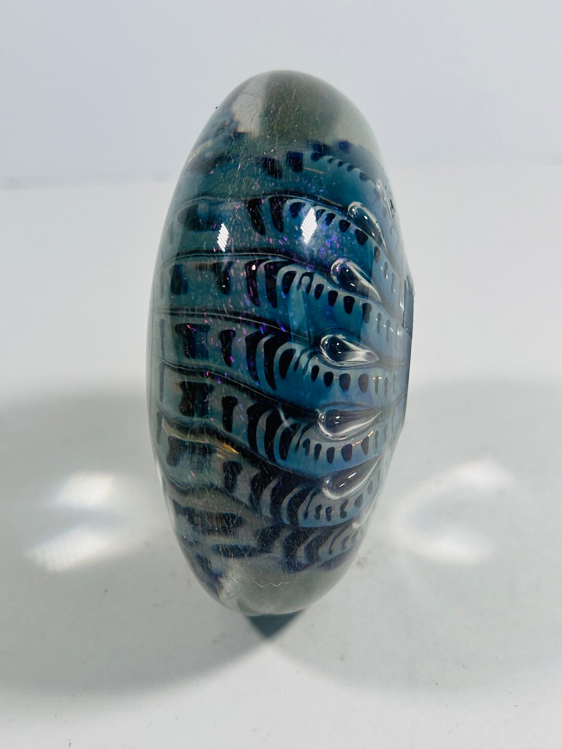 Blue Seashell Art Glass Paperweight Robert Eickholt 1991 - Etsy