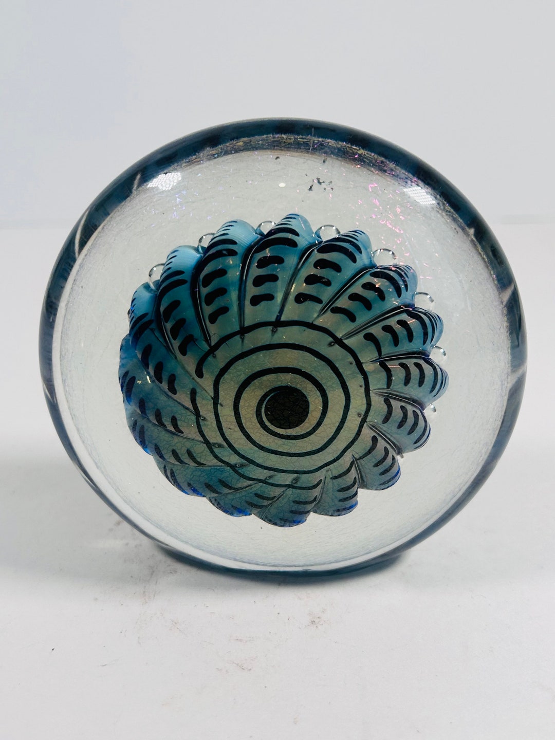 Blue Seashell Art Glass Paperweight Robert Eickholt 1991 - Etsy