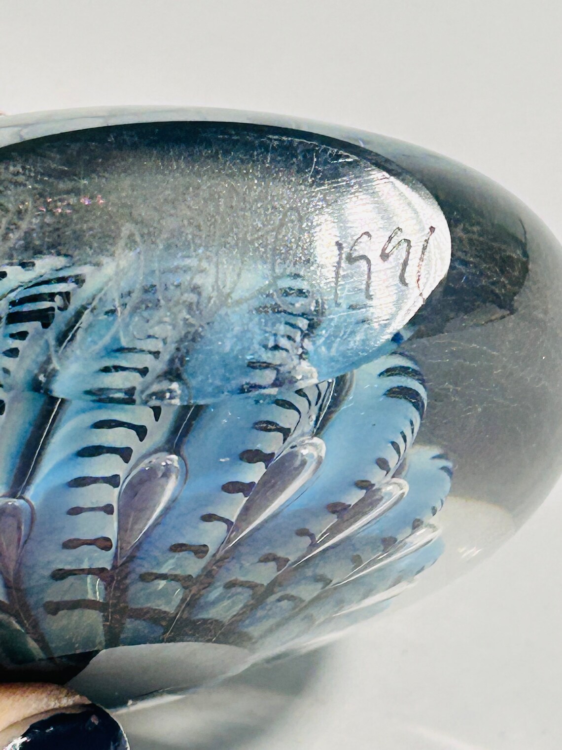 Blue Seashell Art Glass Paperweight Robert Eickholt 1991 - Etsy