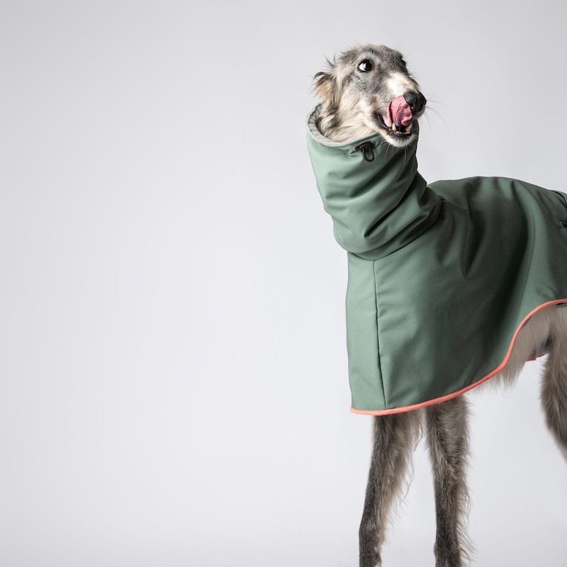Greyhound Coats - Etsy UK