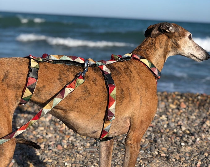 Greyhound Security Harness - 3 Point Harness | Whippet Harness ...