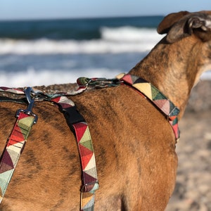 Greyhound Security Harness - 3 Point Harness | Whippet Harness ...