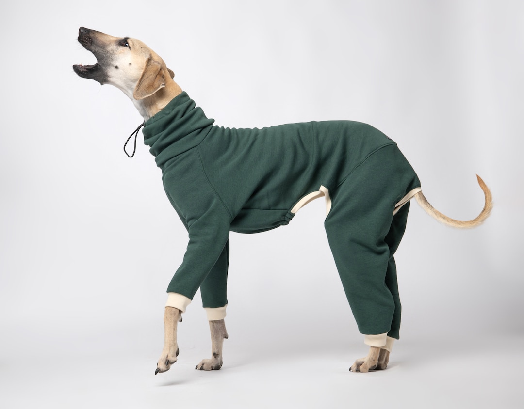 Tuta fatta a mano per levriero italiano, whippet e levriero / 8 colori ...