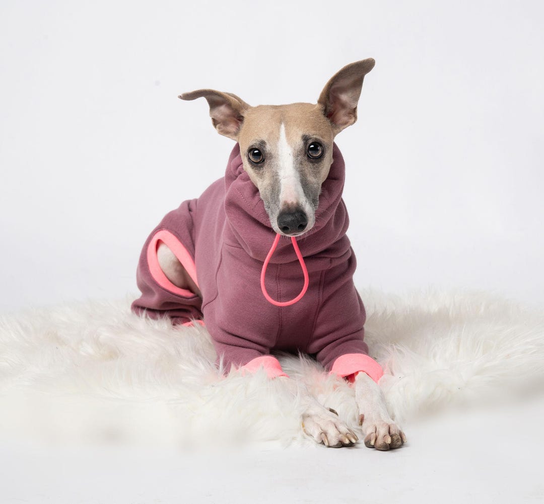 Italian Greyhound, Whippet , Greyhound Jumpsuit | Super Warm Whippet ...