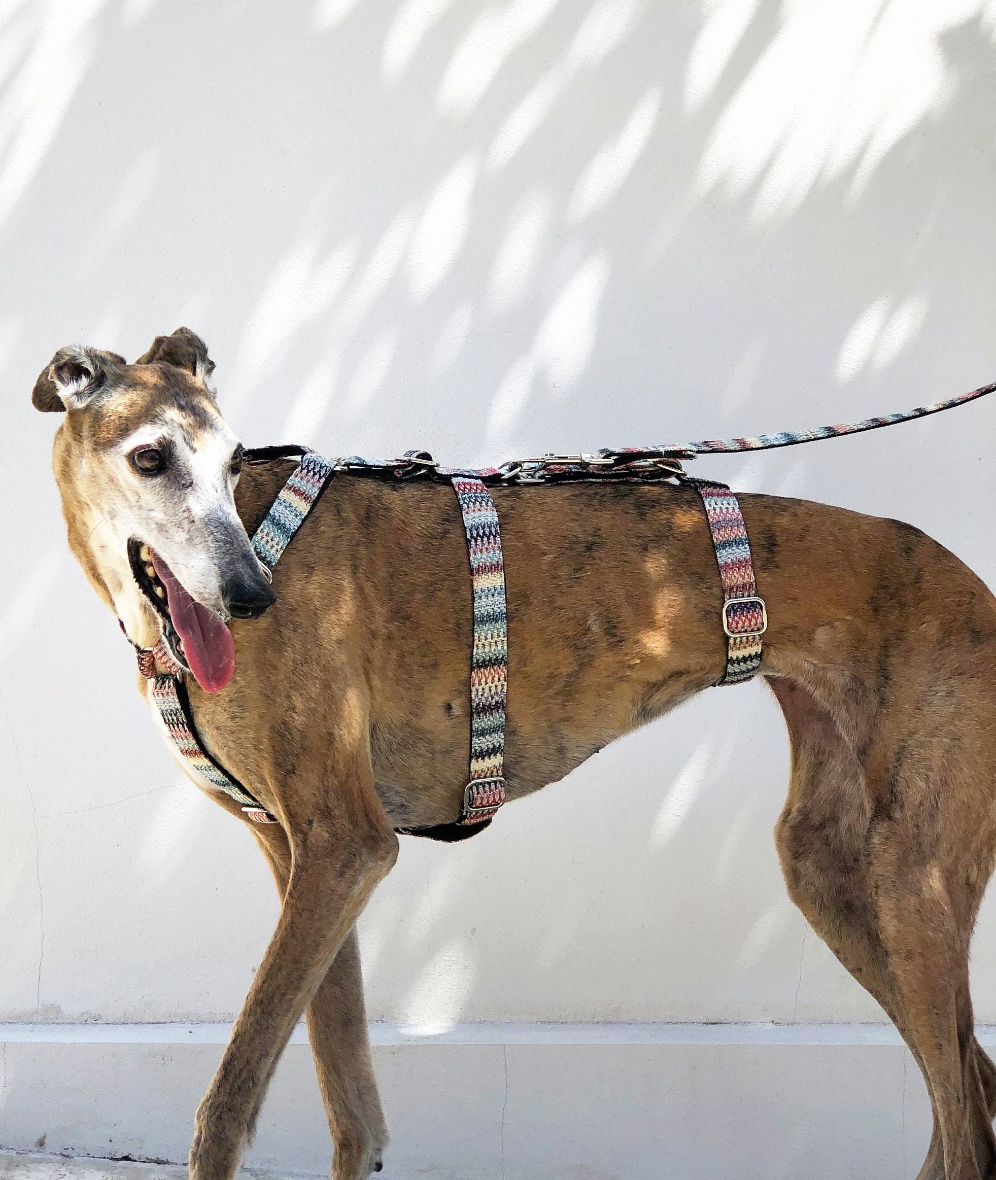 Greyhound Security Harness 3 Point Harness Whippet Harness Whippet Security Harness Etsy UK