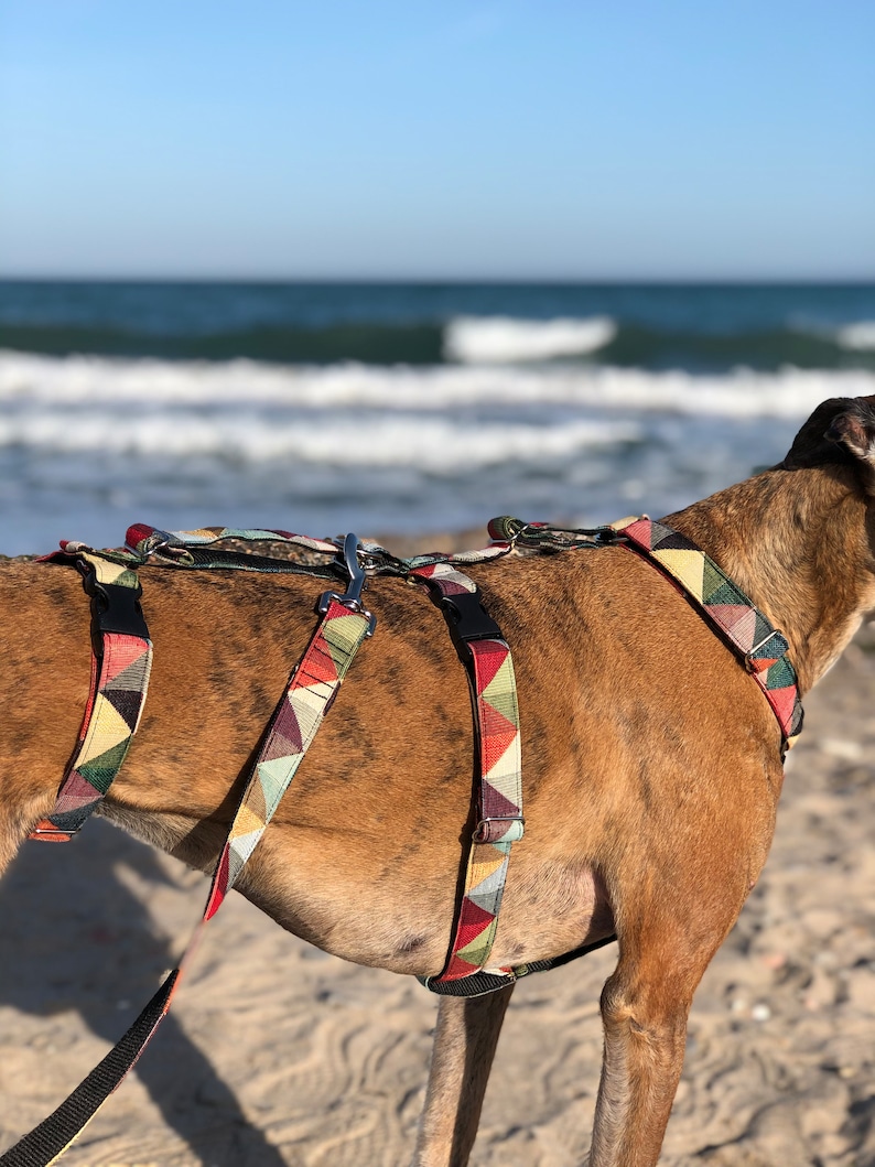 Greyhound Security Harness - 3 Point Harness | Whippet Harness ...