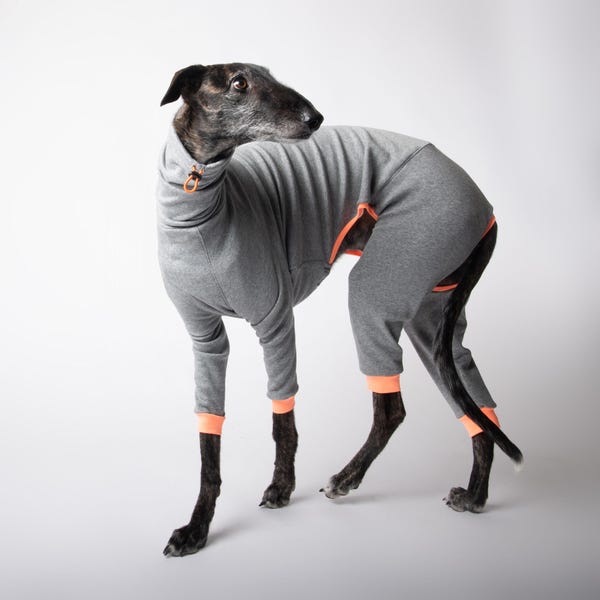 Whippet Clothing - Etsy