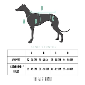 Greyhound Security Harness - 3 Point Harness | Whippet Harness ...