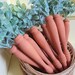 Bunch of Orange Wooden Spindle Carrots Easter Spring Decor Tray Shelf ...