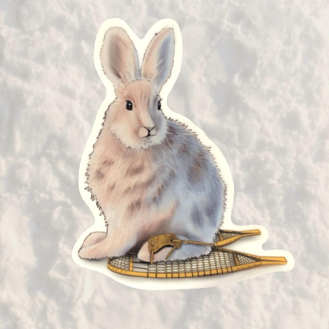 Vinyl Sticker - Snowshoe Hare - Alaskan Wildlife Winter Bunny Snowshoe ...