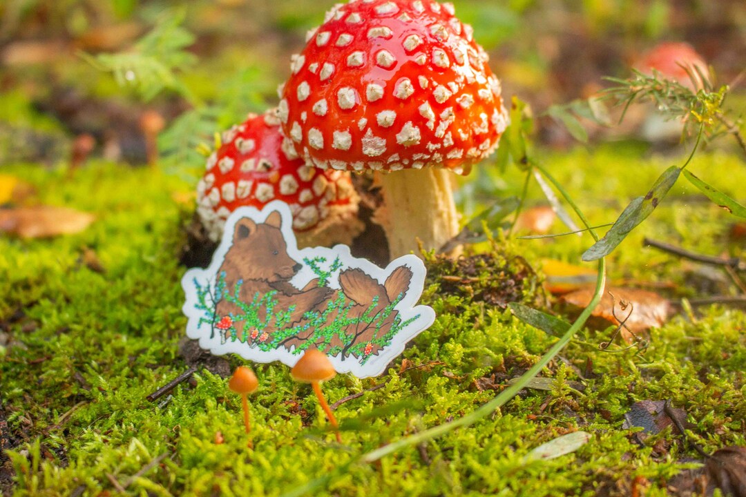 Vinyl Sticker Blueberry Naps Bear Napping Alaskan Sticker - Etsy