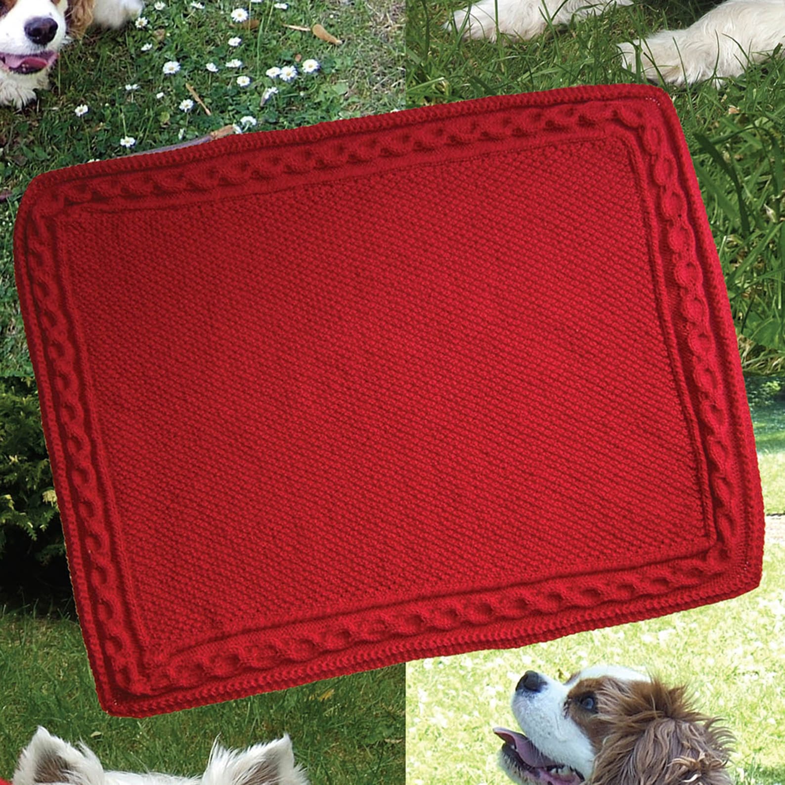 Knitting Pattern: Dog Coats and Blanket in DK and Aran Yarn. - Etsy UK