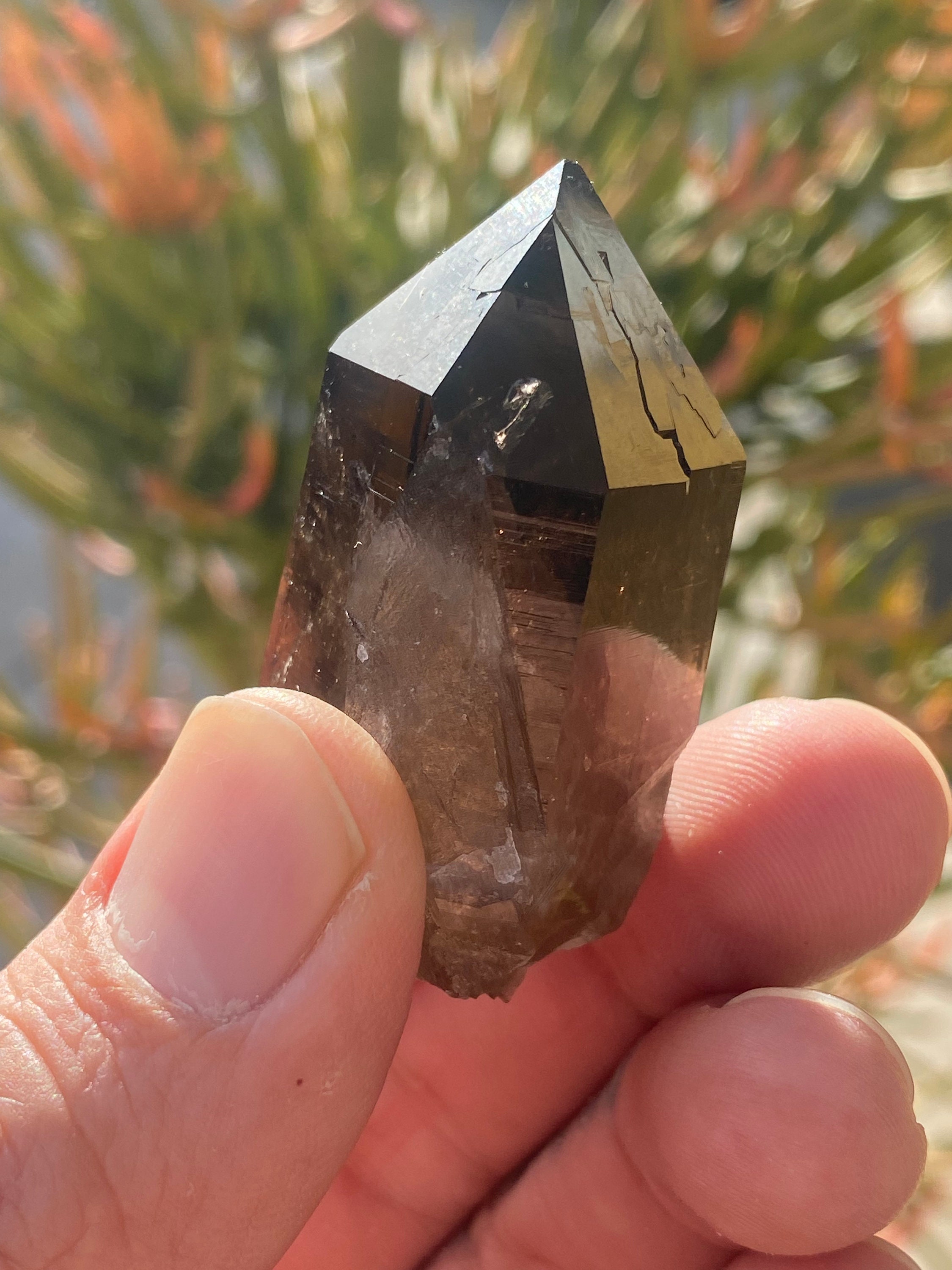 Swiss Smokey Quartz From Uri Switzerland - Etsy