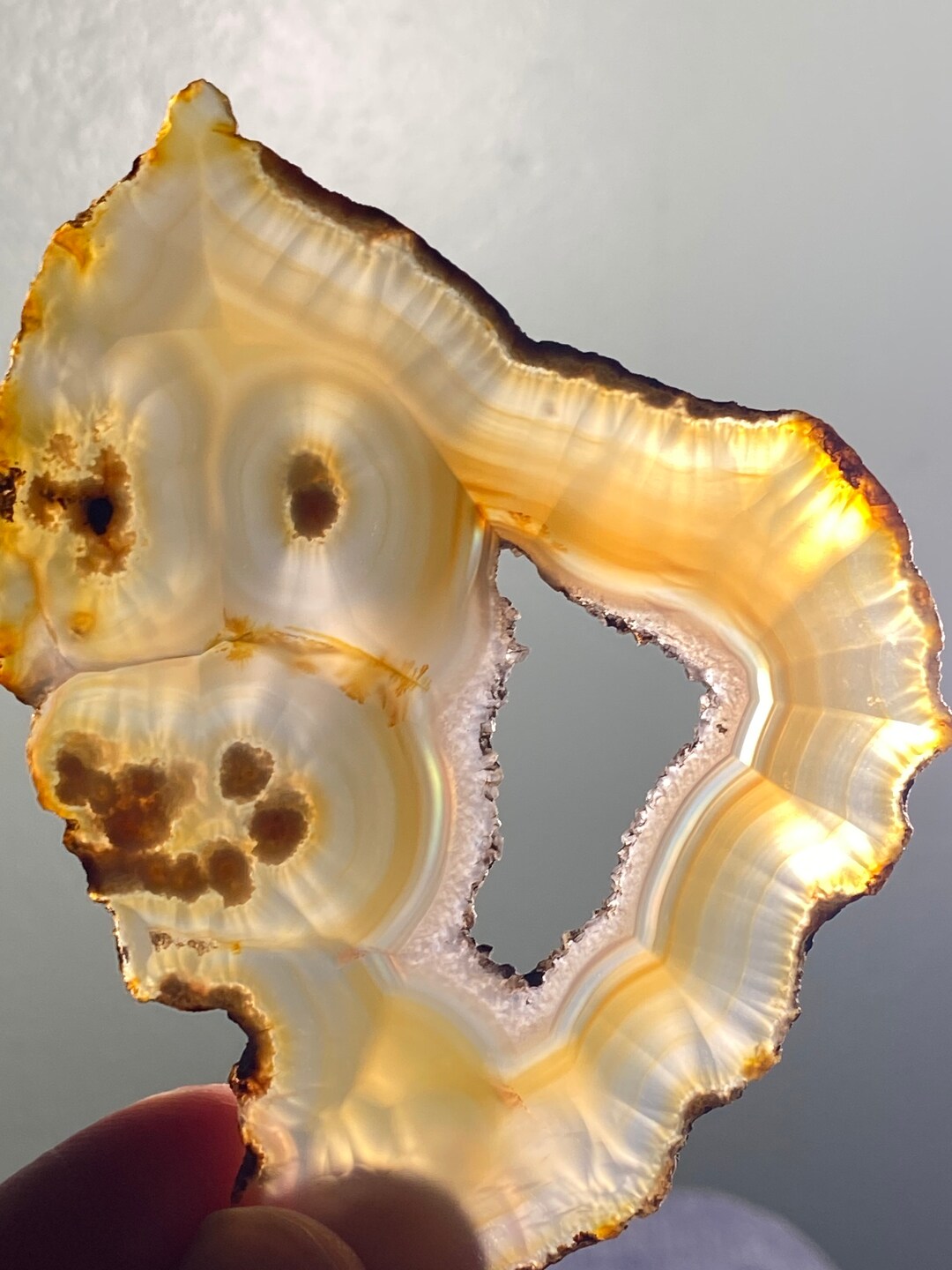 Natural Angel Wings Shaped Moss Agate Iris Slices Rare Slices Sold in ...