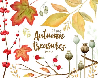 Autumn Clipart Leaf Clip art Nature Art Fall Clipart | Etsy