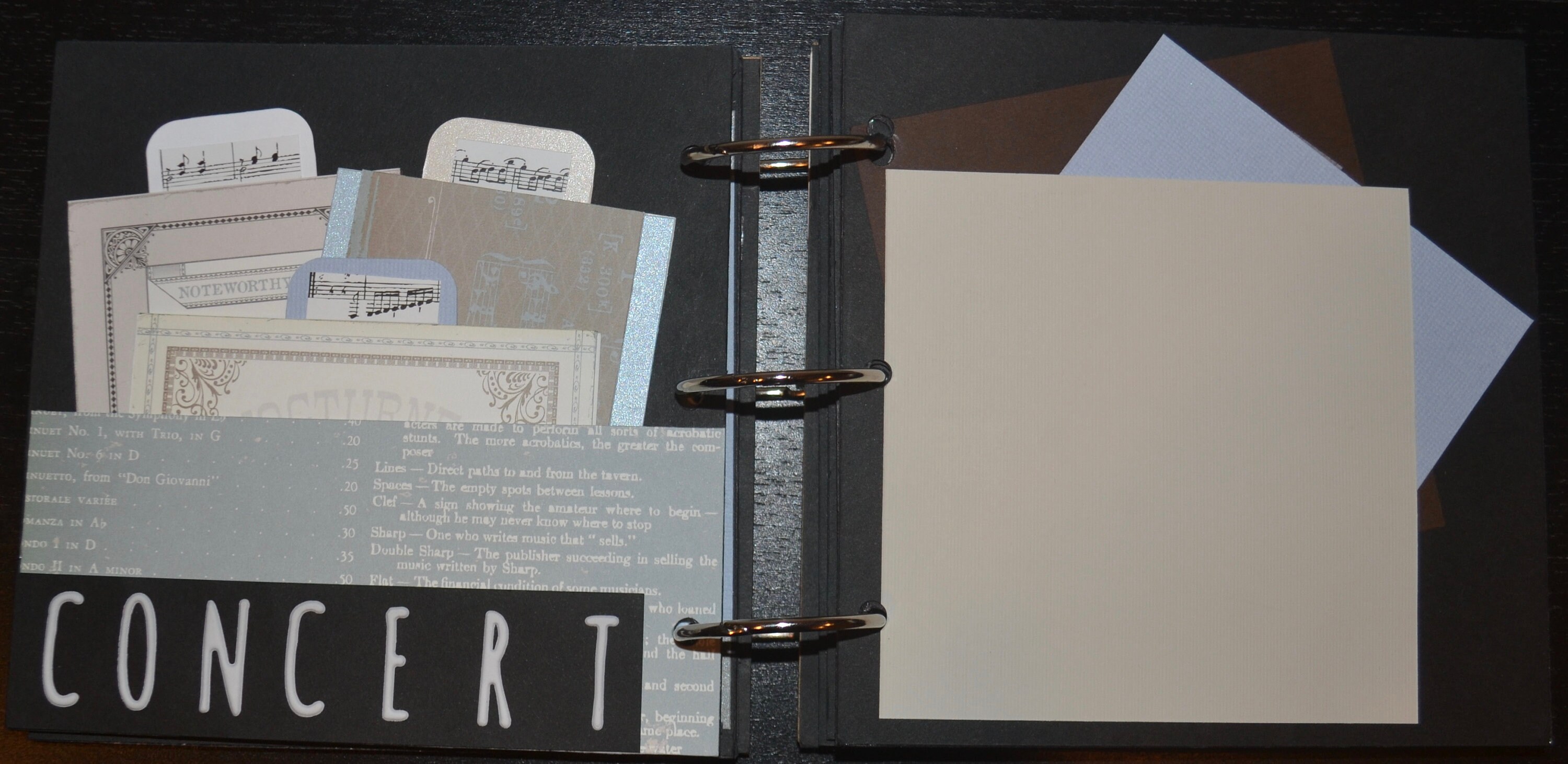 Orchestra Scrapbook Strings Scrapbook High School Orchestra - Etsy France