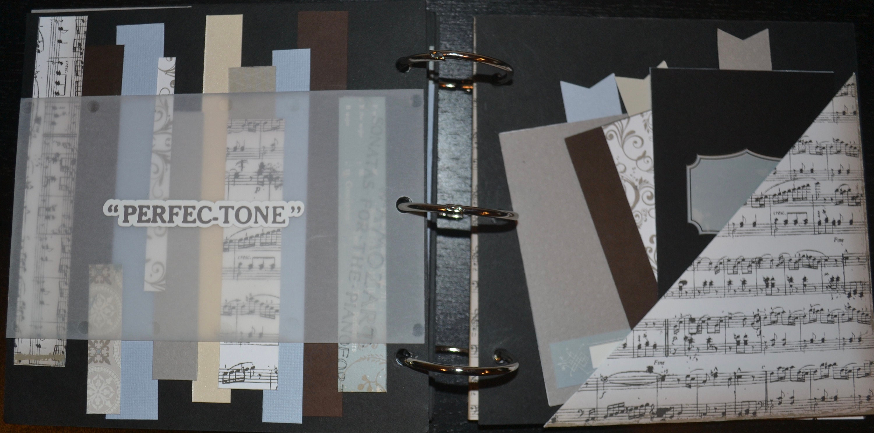 Orchestra Scrapbook Strings Scrapbook High School Orchestra - Etsy France