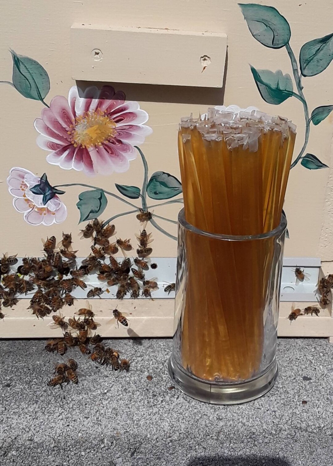 Honey Sticks Package of 50 Sticks - Etsy