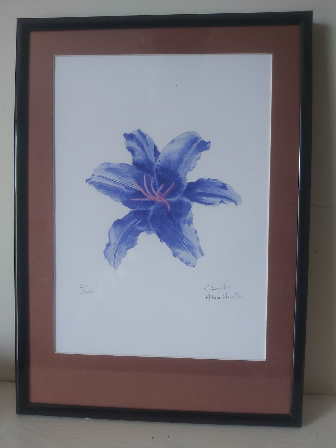 Blue Clematis Limited Edition Art Print - Etsy