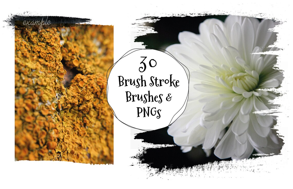 30 Brush Stroke Brushes // Photoshop Brushes // PNG Brush Mark | Etsy