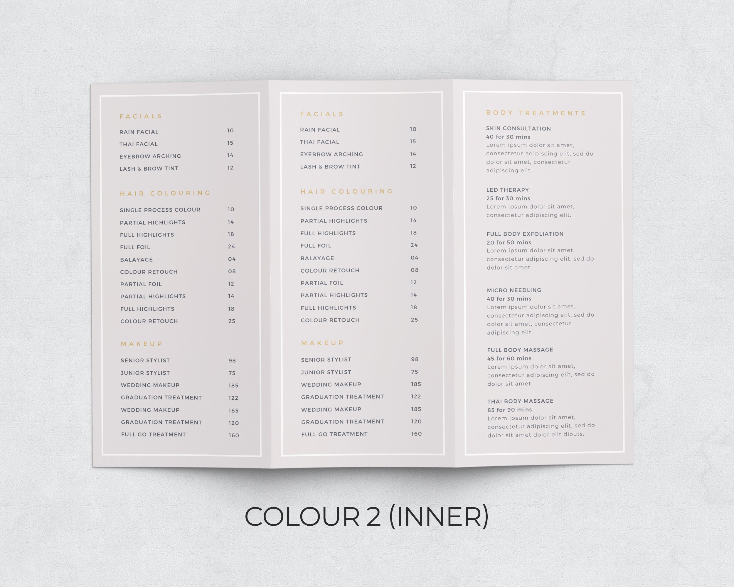 Modern Tri-fold Editable Price List Template / Z Fold Price - Etsy UK
