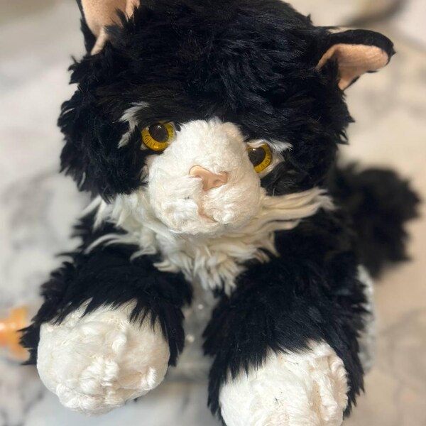 Black and White Cat - Etsy