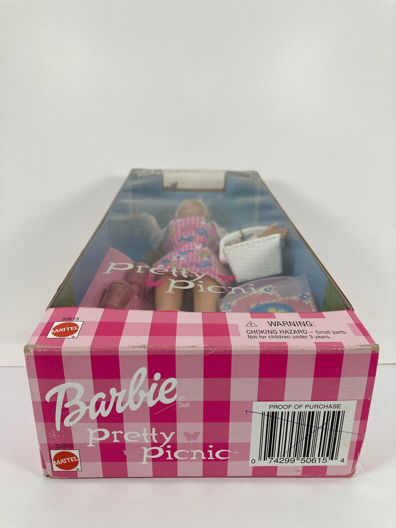 2000 Pretty Picnic Barbie - Etsy