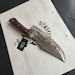 Chef Knife With Octopus Engraving. Strength, Beauty, Precision Dive ...