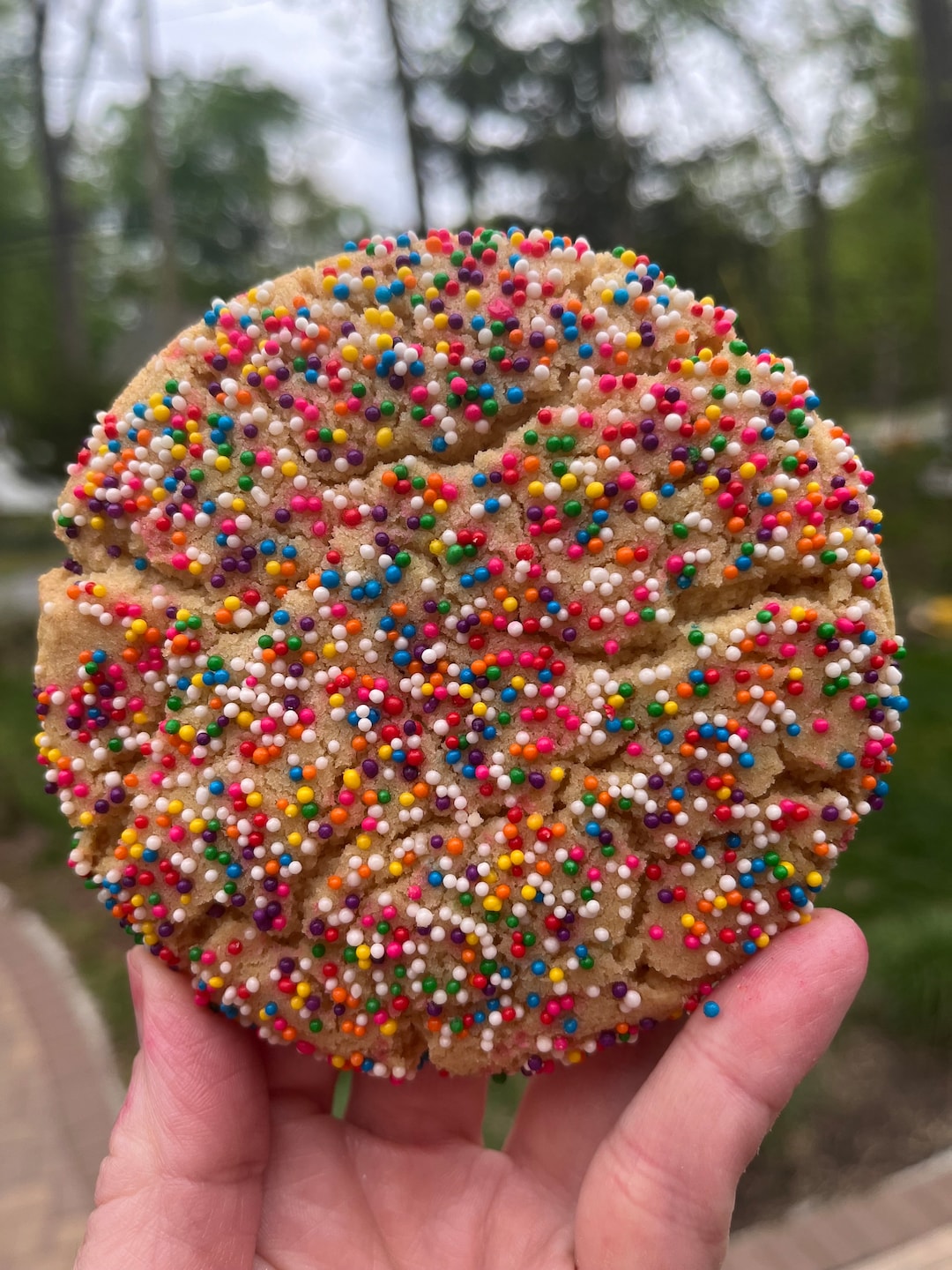 Large Sprinkle Sugar Cookies - Etsy