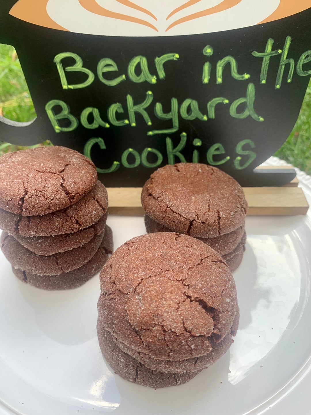 Bear in the Backyard Cookies - Etsy