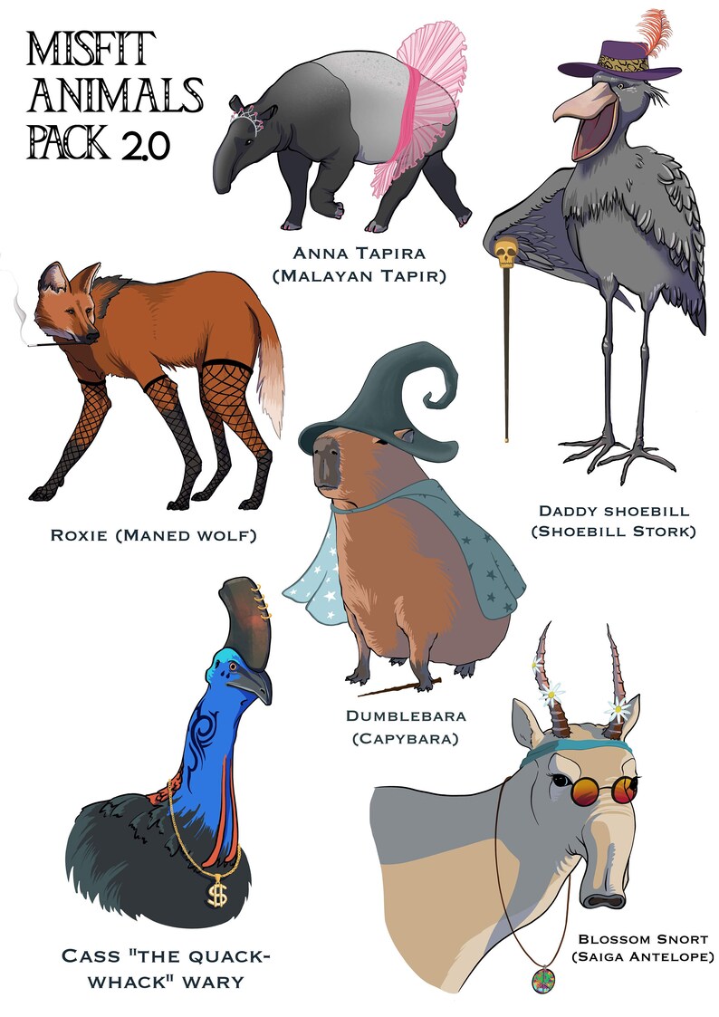 Misfit Animals Sticker Pack Capybara Cassowary Maned Wolf | Etsy