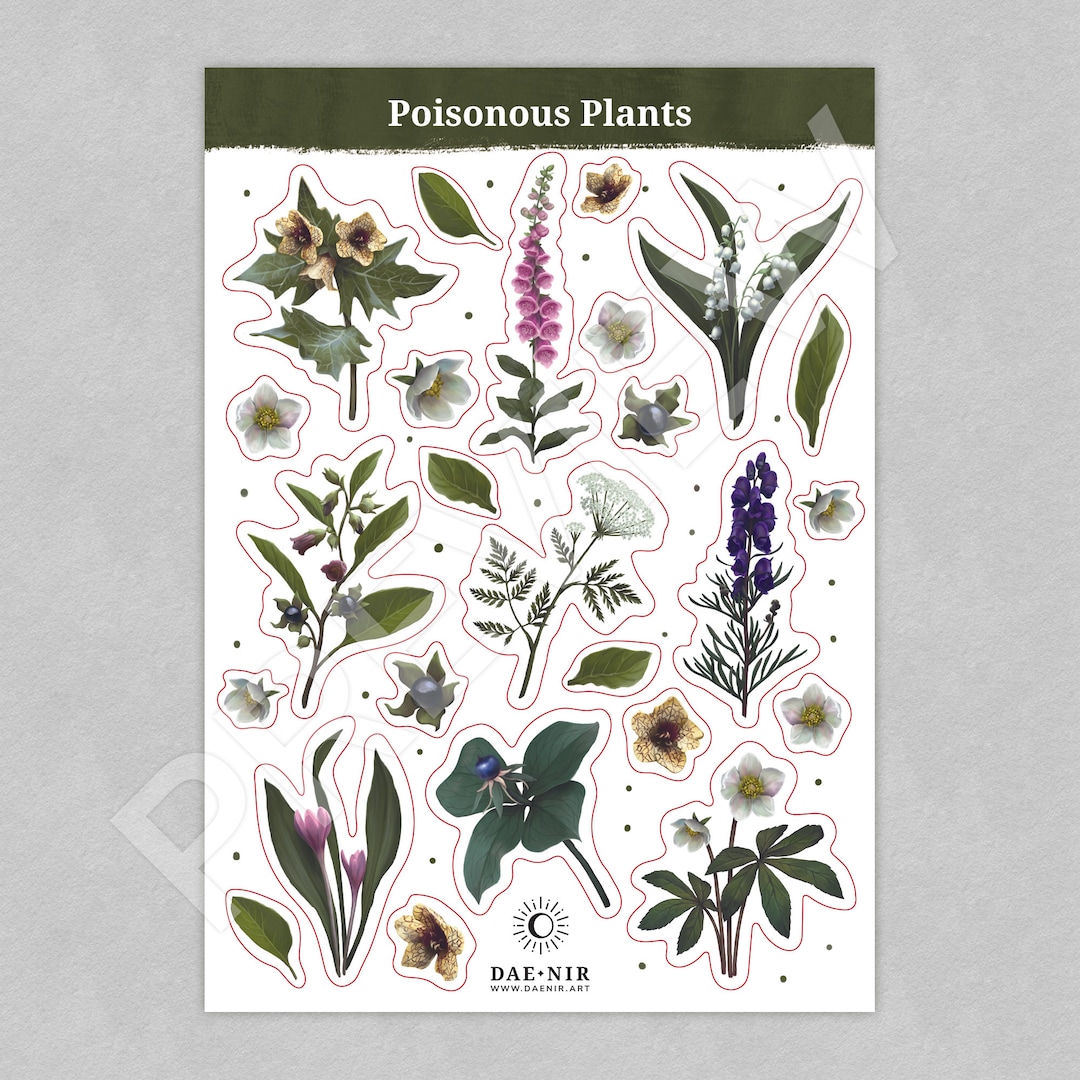 Sticker Set: Poisonous Plants / Flowers Sticker Sheet / Witchy / Dark ...