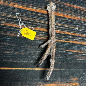 Real Wild Turkey Foot Taxidermy Mount Art Feet Voodoo Unique Christmas ...