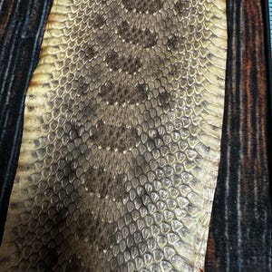 REAL Rattlesnake Skin Prairie Rattler Hide Soft Tanned Bow Wrap Blank ...
