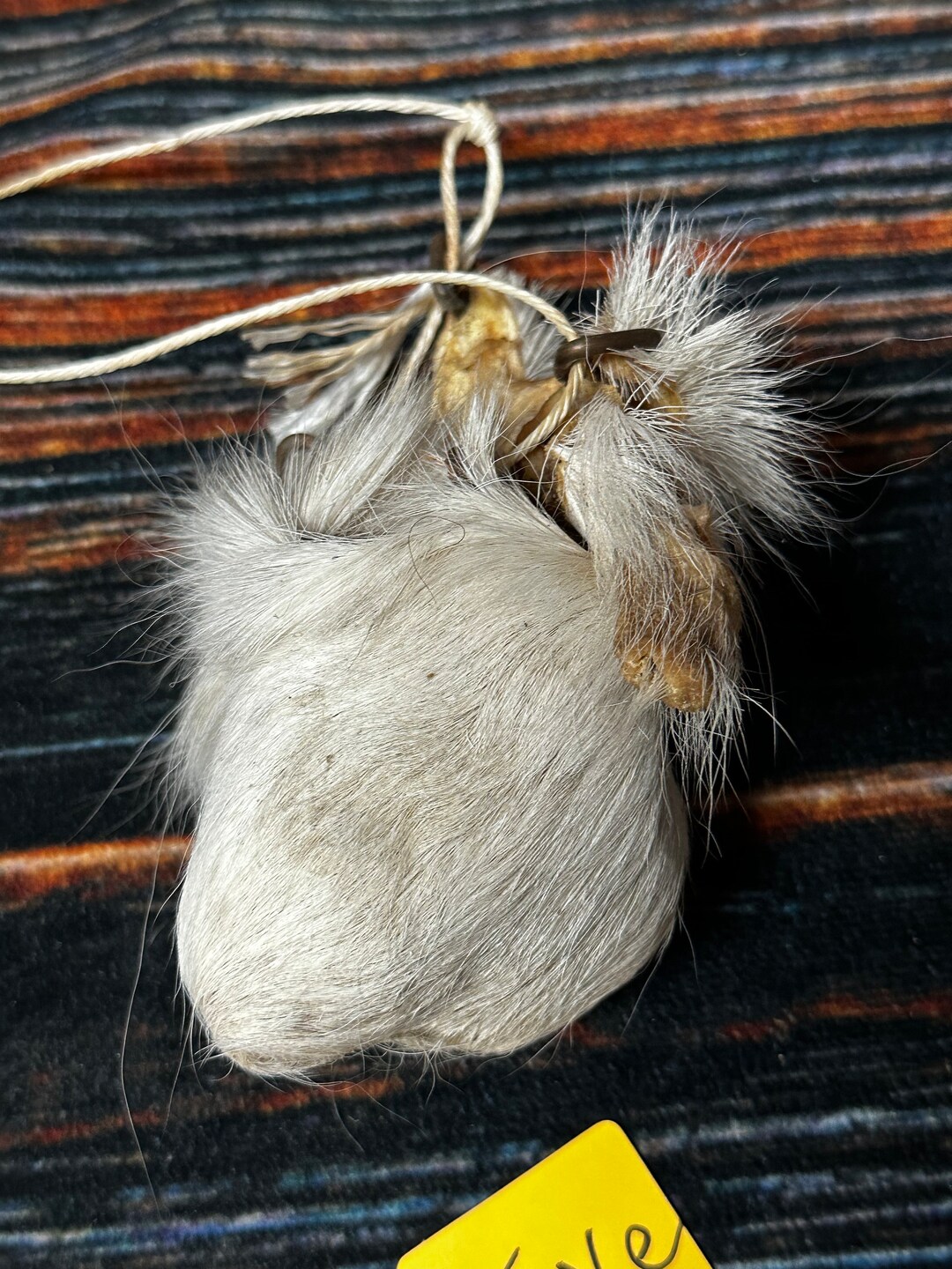 Whitetail Deer Scrotum Real Bison Ball Bag Oddity Nutsack Gag Gift ...