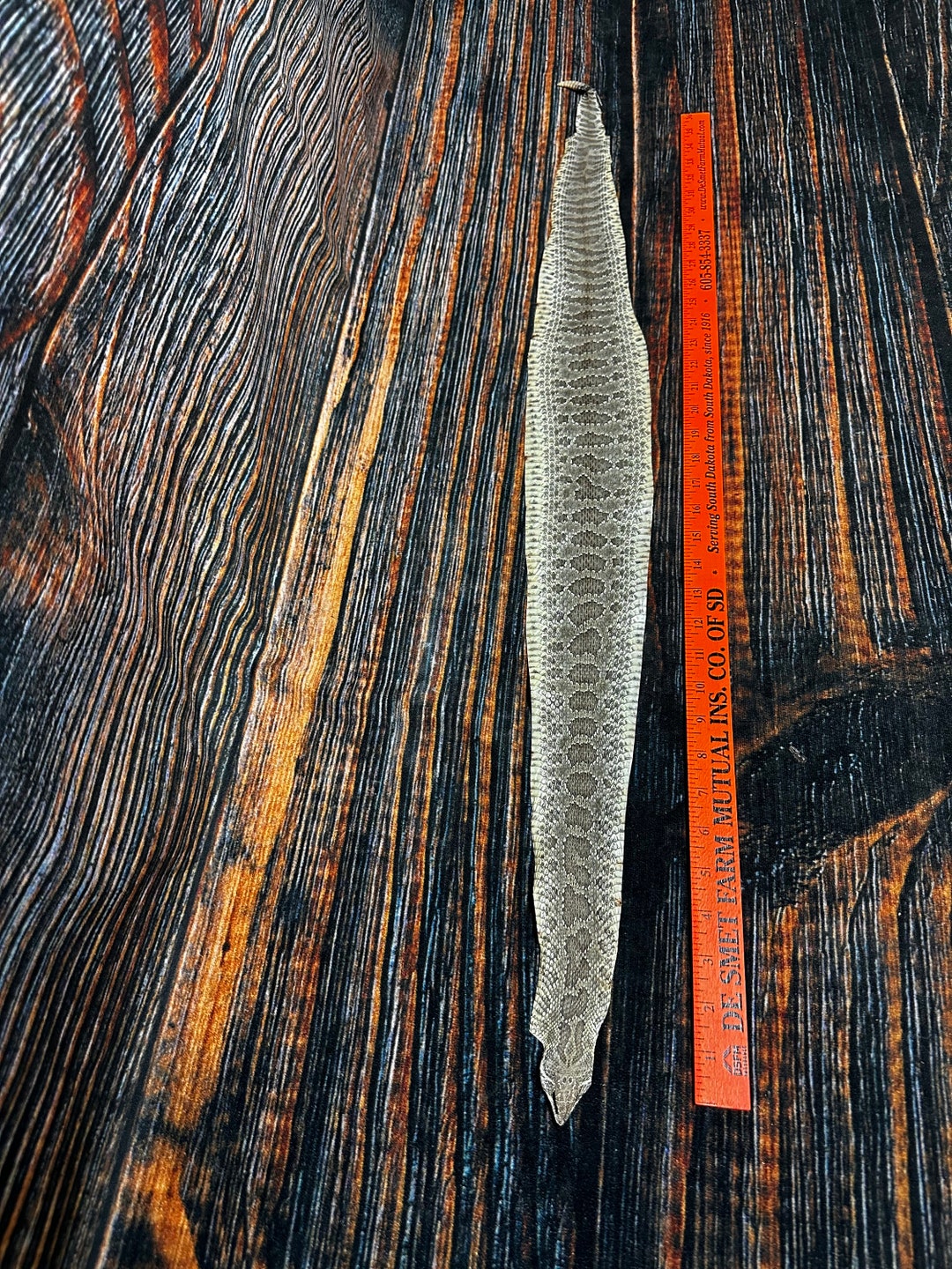 REAL Rattlesnake Skin Prairie Rattler Hide Soft Tanned Bow Wrap Blank ...