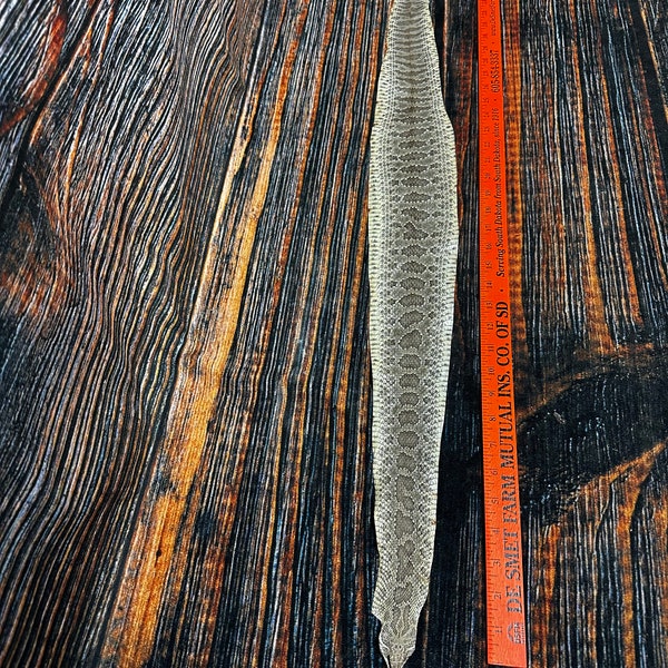 Real Animal Skin - Etsy