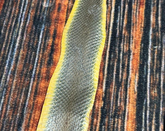 Blue Racer Snake Skin Snake Hide Soft Tanned Bow Wrap Pen Blanks Garden ...