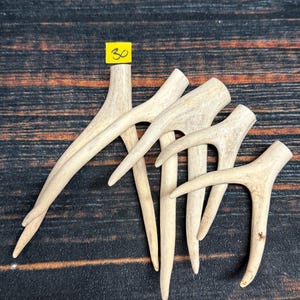 5 Wild Deer Cut Antler Fork Unique Handle Drawer Man Cave Medieval ...