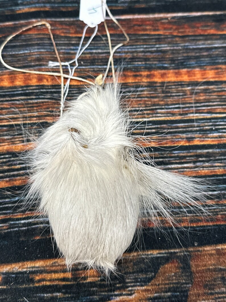 Whitetail Deer Scrotum Real Bison Ball Bag Oddity Nutsack Gag - Etsy