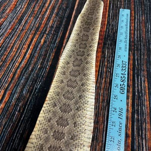 REAL Rattlesnake Skin Prairie Rattler Hide Soft Tanned Bow Wrap Blank ...
