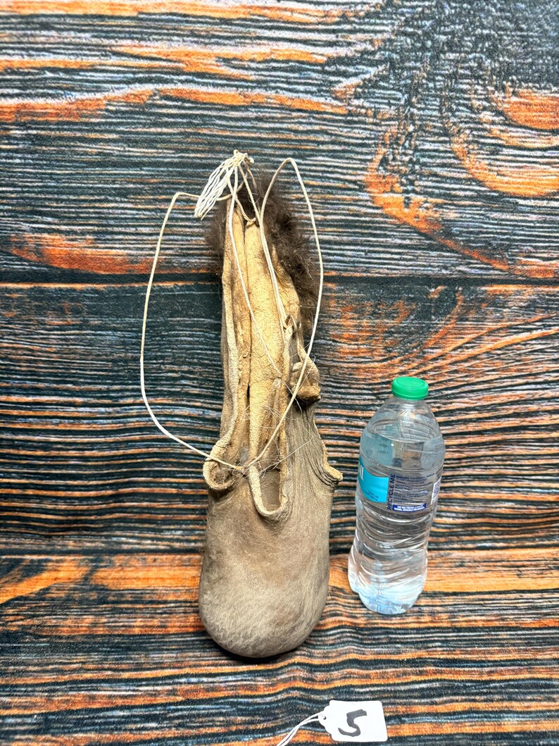 Buffalo Scrotum Real Bison Ball Bag Oddity Nutsack Gag Gift Winter Bag ...