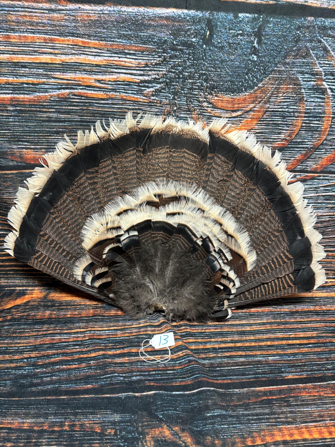 Real Wild Turkey Tail Merriam Feather Millinery Big Hen Decoy Bustle ...